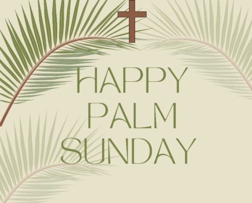 Saint Fatima Language Schools - Home